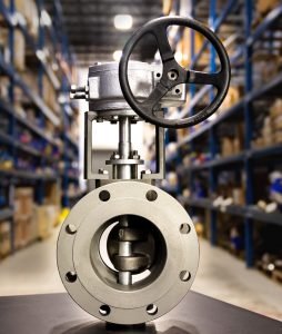 Adams • CGIS: Valves, Actuators & Accessories for Severe Service