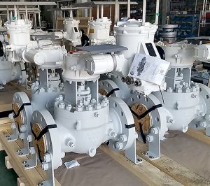 KPC • CGIS: Valves, Actuators & Accessories for Severe Service