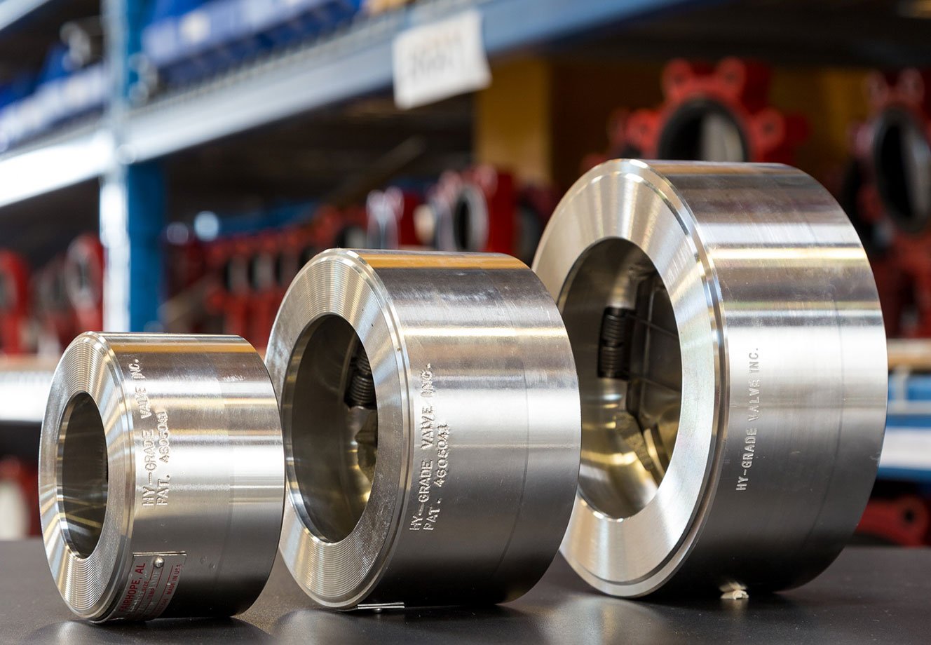 Check Valves • CGIS: Valves, Actuators & Accessories for Severe Service