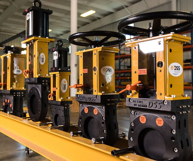 DSS Valves • CGIS: Valves, Actuators & Accessories for Severe Service