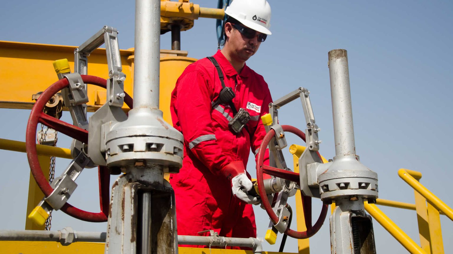 Sofis Valve • CGIS: Valves, Actuators & Accessories for Severe Service